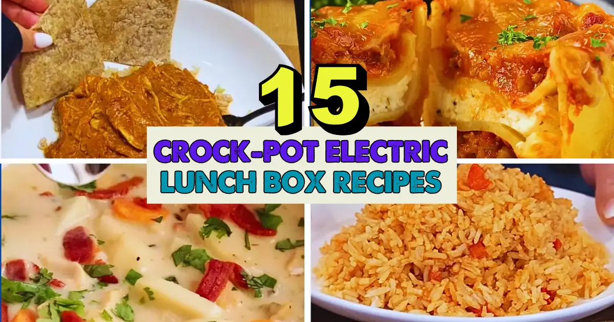 15 Crock-Pot Electric Lunch Box Recipes