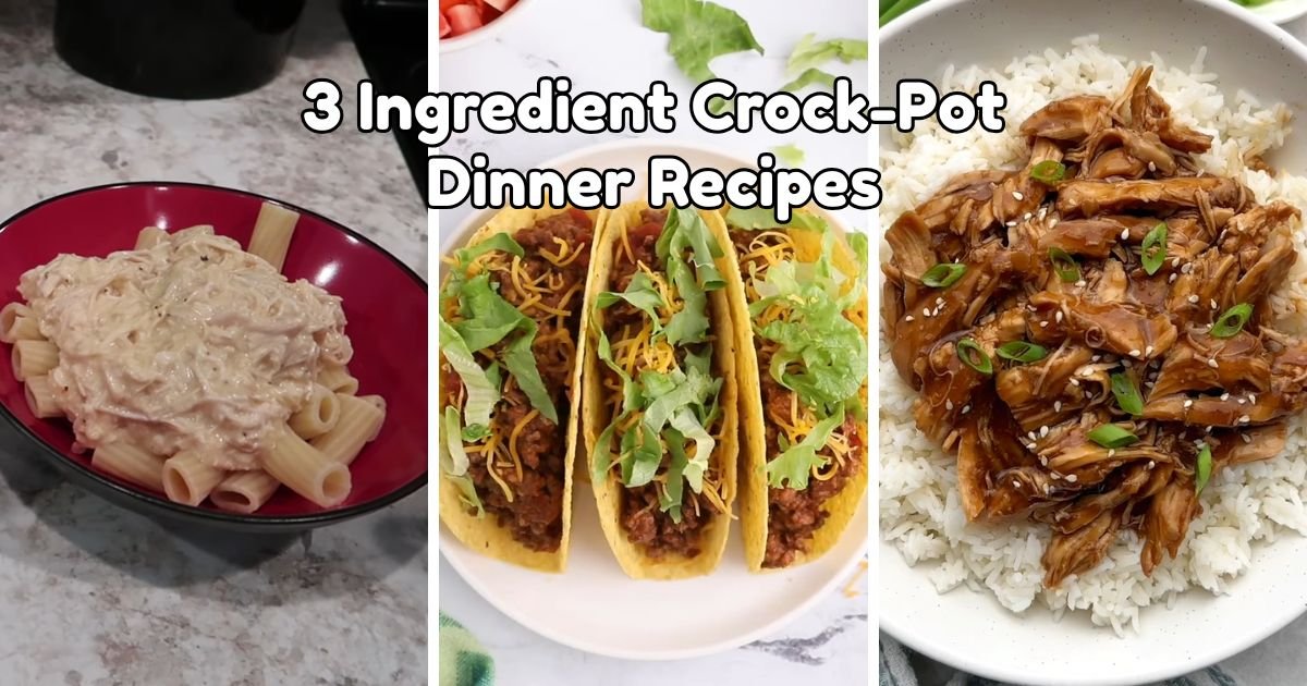 20 Easy 3 Ingredient Crock-Pot Dinner Recipes for Busy Weeknights